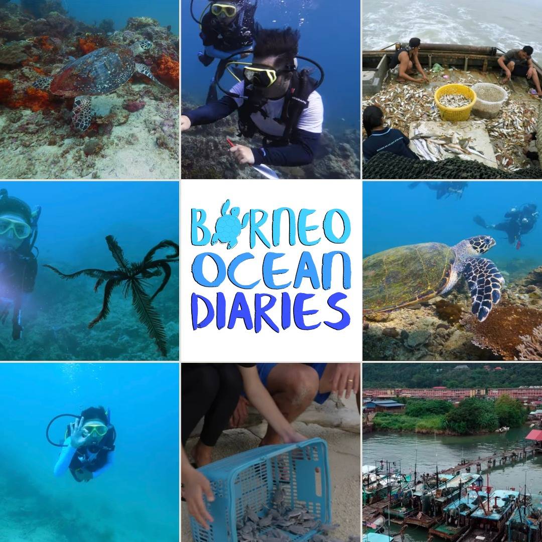 Borneo Ocean Diaries – Yayasan Sime Darby Arts Festival